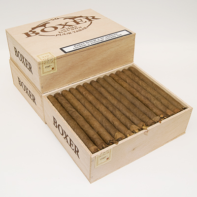 Boxer wilde havana wilde senoritas sigaren kopen meest verkocht
