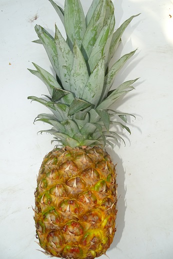 Biologische groente en fruit bestel je online bij Gezondergroen.nl