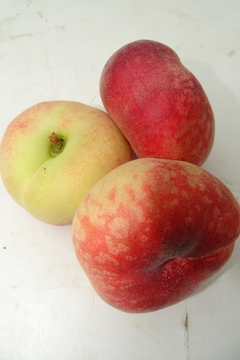 Biologische groente en fruit bestel je online bij Gezondergroen.nl